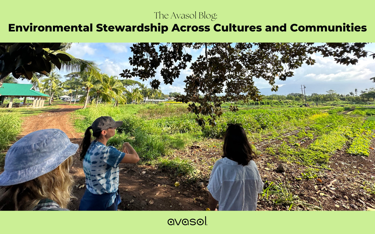 Environmental Stewardship Across Cultures and Communities – Avasol