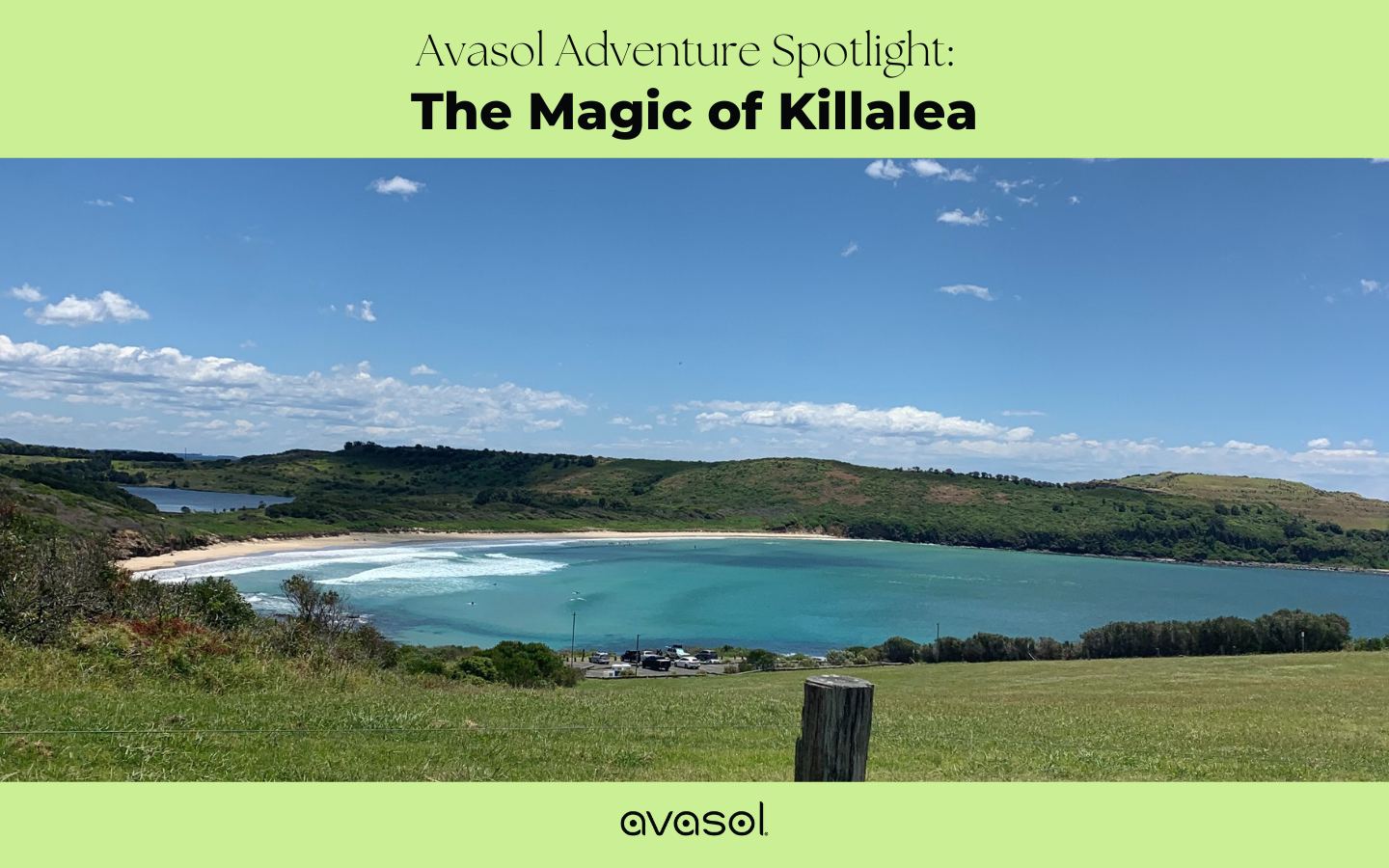 The Magic of Killalea – Avasol